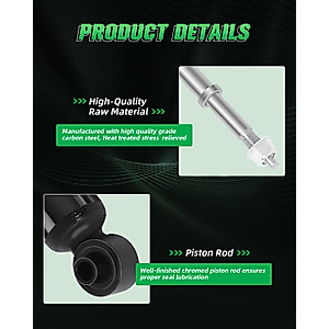 SCITOO Rear Shocks Set of 2 for Charger, Shocks and Struts Fits 2005 2006 2007 2008 2009 2010 2011 for Chrysler 300,2006 2007 2008 2009 2010 for Dodge Charger,2005 2006 2007 2008 for Dodge Magnum