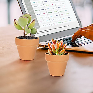 FAMILY 20Pack 3 inch Terra Cotta Color Solid Clay Indoor Mini Flower Pots