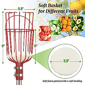 Fruit Picker, 10FT Long Handle Fruit Picker with Basket, Fruit Catcher Tool for Apple Mango Pear Orange Avocado Lemon Citrus Tree Picker
