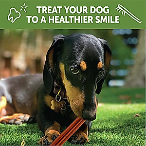 WHIMZEES by Wellness Dental Chews for Dogs, Natural, Long Lasting Treats for Cleaner Teeth & Fresher Breath, Grain Free & Hypoallergenic, 28 Chews