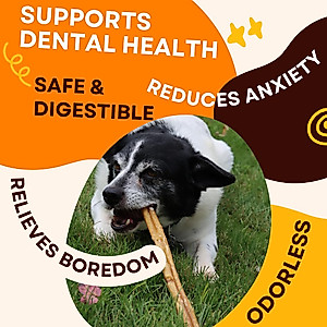 EXQUISITE PETS 12" Bully Sticks 3lb Bag Bulk 100% Brazilian Bull Pizzle Odorless Long Lasting No Grains or Rawhide Helps Relive Pet Boredom All Natural Dog Treats Wholesale Agressive Chewers