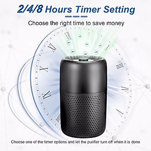 2 Pack TPLMB Air Purifiers for Bedroom H13 HEPA Filter,Fragrance for Better Sleep,Small Air Purifier with Nightlight Speed Control,For Home Living Room Dorm,24dB Filtration System,P60 (2, Black)