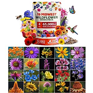 HOME GROWN Midwest Wildflower Seeds Mix 4oz | 65,000 Non-GMO, USA Sourced, High Germination Rate | Heirloom Pollinator Flowers Seed Mix | Wild Flower Seeds Bulk | Covers 500 sq. ft.