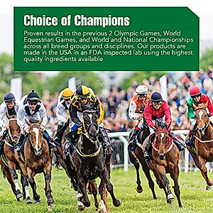 Ramard Total Respiratory & Endurance Syringe for Horses, Equine Vitamin & Supplements, Veterinary Supplies, with Clairisol, Methyl Parabens, Peppermint Oil & Sodium Benzoate 1/2 oz, 1-Pack