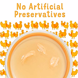 Purina Friskies Wet Cat Food Complement, Lil’ Slurprises With Shredded Chicken in a Dreamy Sauce - (16) 1.2 oz. Pouches