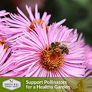 Survival Garden Seeds - Perennial Wildflower Seed for Planting - Packet with Instructions to Plant and Grow in Your Home Garden - Non-GMO Heirloom Varieties