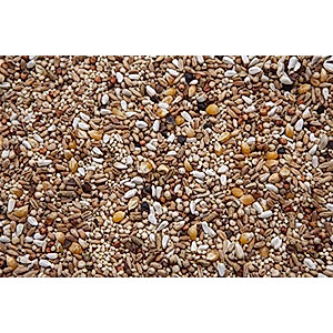 Pigeon Feed Dove Mix (8)