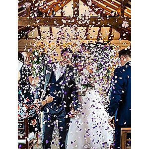 Purple Silver Confetti/Purple Centerpiece Table Party Decorations Purple Birthday Party Decorations Table/Purple Engagement Party Decorations, Purple Baby Shower Decorations, Purple Silver Wedding