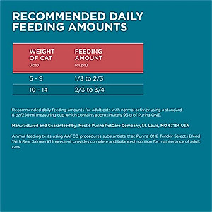 Purina ONE Natural Dry Cat Food, Tender Selects Blend With Real Salmon - 16 lb. Bag
