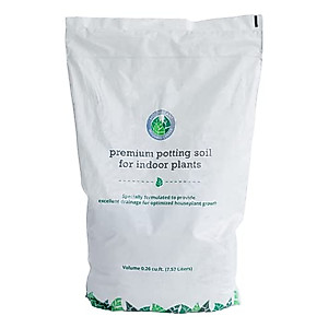 Indoor Plant Soil