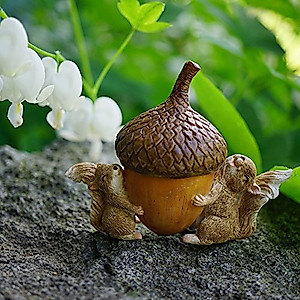 Top Collection Miniature Garden Squirrels Carrying Acorn Trinket Box with Secret Compartment Decor, Small