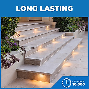 OHLECTRIC T3.25 Soft White Clear Pure Xenon Gas Bulbs with Wedge Base | 10W Dimmable Light Bulbs with100L & 2800K Color Temperature | (Pack of 10) OL-46160