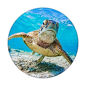 Sea Turtle Under Water PopSockets PopGrip: Swappable Grip for Phones & Tablets