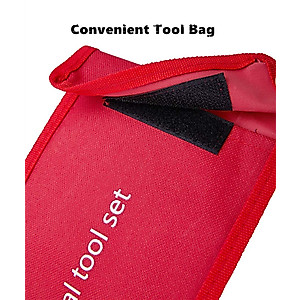 JOJOY LUX Pack of 8 Auto Trim Removal Tool Set for Car Audio Dash Door Panel Window Molding Fastener Remover Tool Kit with Storage Bag