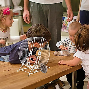 Silent Hamster Wheel, Wire Mesh Running Gerbil Wheel Toy with Iron Bracket Mute Jogging Cage Wheel for Rat Chinchilla