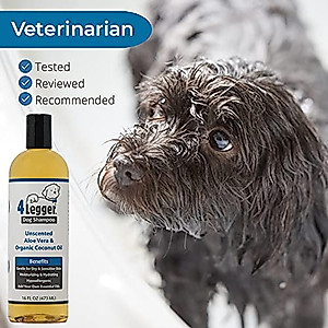 4Legger Organic Dog Shampoo USDA Certified, Hypoallergenic Dog Shampoo, Dog Coconut Shampoo, Gentle Fragrance Free Dog Shampoo with Aloe for Soothing Relief of Dry, Itchy, Sensitive Allergy Skin 16 oz