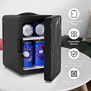 Living Enrichment Mini Fridge 4 Liter Skincare Fridge, AC 120V DC 12V Portable Small Refrigerator Cooler and Warmer for Skincare, Medications, Bedroom, Travel and Car - Black