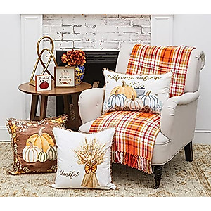 C&F Home Briar Pumpkin Orange Plaid Fall Autumn Halloween Throw Blanket with Fringe Tassels, Cozy Lightweight for Home Couch Sofa Farmhouse Decor 50x60 inches Orange