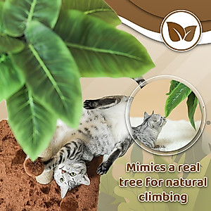 34'' Tall Palm Cat Tree, Cat Scratching Post, Kitten Cat Scratch Cute Scratcher for Indoor Cats with Hanging Dangling Toy Balls for Large Cats and Kittens, Brown