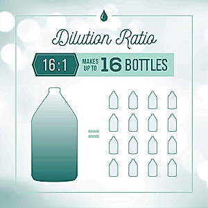 Nature's Specialties Coconut Clean Ultra Concentrated Dog Conditioning Shampoo for Pets, Makes up to 2 Gallons, Natural Choice for Professional Groomers, Adds Highlighting and Body, Made in USA, 16 oz