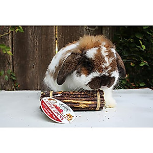 Apple Sticks (20 Pack) - Healthy Natural Apple Wood Branch Chew Treat - Guinea Pigs, Hamsters, Rabbits, Degus, Prairie Dogs, Chinchillas, Squirrels, Opossums, Rats, Hamsters, Gerbils & Small Pets