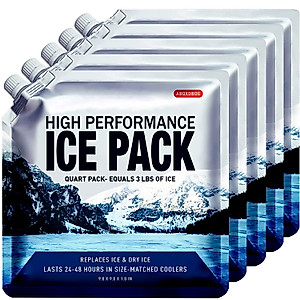 40 Cans Backpack Cooler Leakproof Lightweight Insulated with 5 Ice Pack for Coolers Long Lasting for Lunch Picnic Fishing Hiking Camping Park Beach