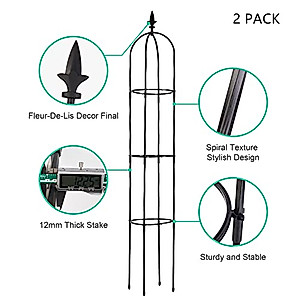 Lalahoni Garden Trellis for Climbing Plants Outdoor, 2 Pack 6ft Tall Plant Support Trellis for Potted Plants Climbing Vine Rose Clematis Outdoor Indoor Garden Obelisk Trellis, Lightweight, Black
