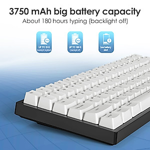 Vissles Wireless Bluetooth/USB Wired Mechanical Gaming Keyboard with Wrist, Hot Swappable Compact 84 Keys, Tenkeyless DIY RGB Dynamic Backlit for Mac Windows, PBT Keycaps & Linear Switch V2