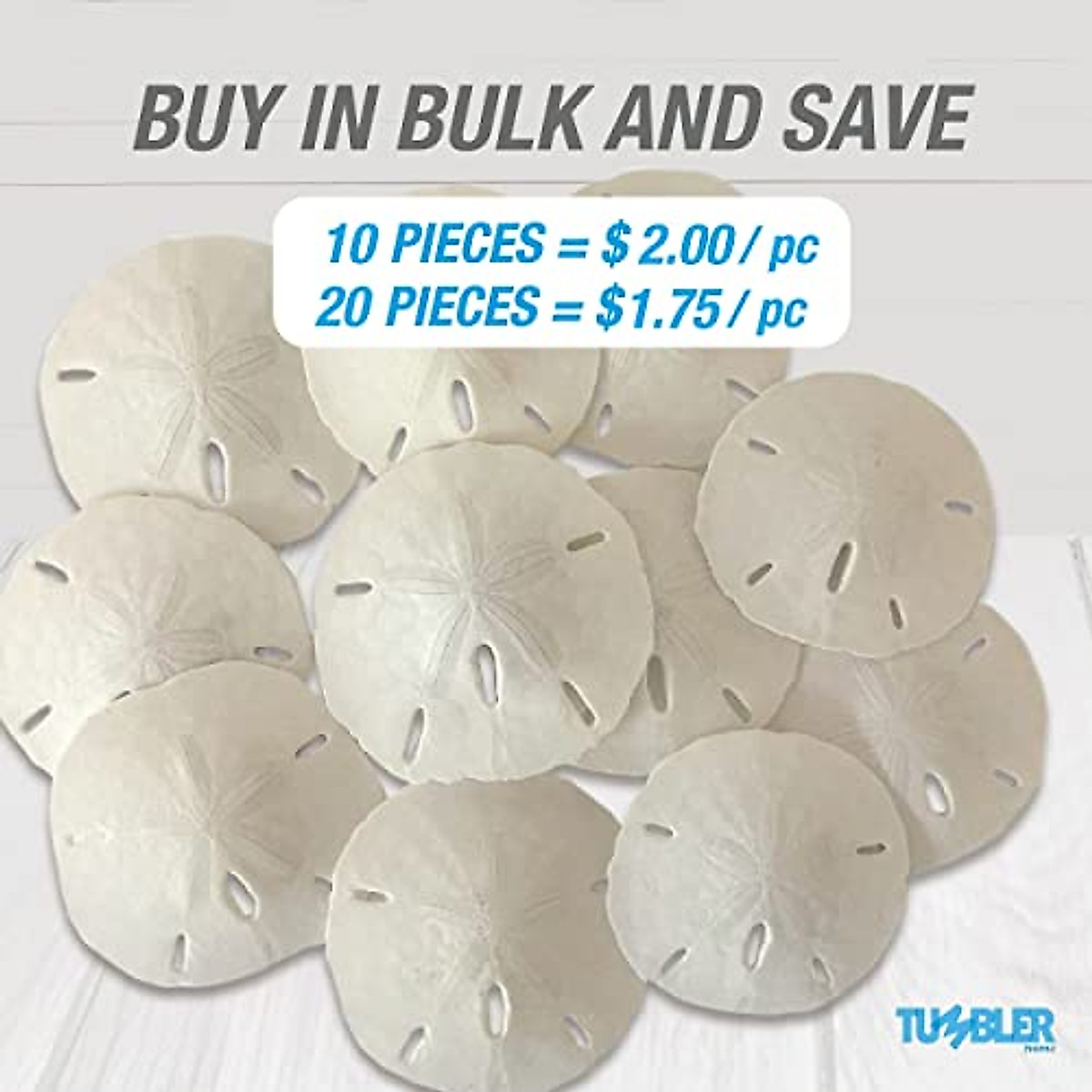 White Sand Dollars 2.5"-3" - 10pcs - Wedding Seashell Craft - Hand Picked and Professionally Packed by Tumbler Home