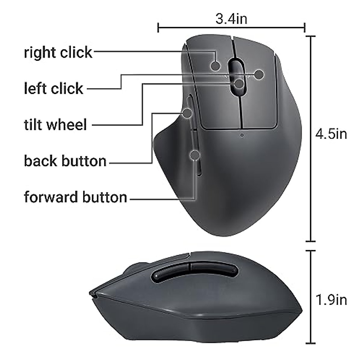 ELECOM Bluetooth Mouse Ergonomic Shape, Silent Click, 18-Month Battery Life, 2000DPI, 5 Buttons with Tilt Wheel, Optical Sensor, Compatible with PC, Mac, Laptop, SHELLPA, Black (M-SH30BBSKBK)
