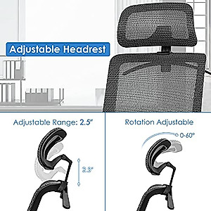 Giantex Ergonomic Office Chair, Mesh Desk Chair Back Support with Adjustable Headrest, High Back Executive Chair Comfortable Swivel Rolling Computer Task Chair with Clothes Hanger for Adults (Grey)