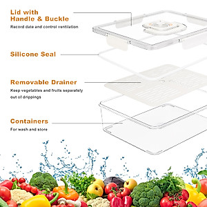 MOLINGRITAR Fruits Storage Container for Fridge, Plastic Refrigerator Organizer Bins Set of 3, Fresh Produce Saver Containers with lid and Handle, Time Dial and Vent Control Crisper Box