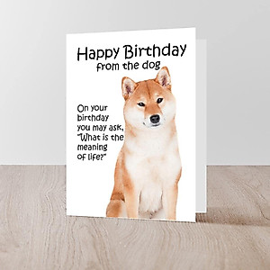 CafePress Funny Shiba Inu Birthday Greeting Cards Folded Greeting Card Matte