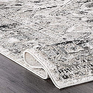 nuLOOM Shaunte Vintage Speckled Area Rug, 4' x 6', Silver