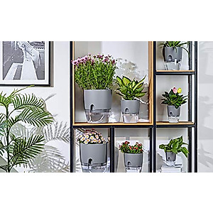 ETGLCOZY 6/4.1/3.2 Inch Self Watering Planter Pots, 5 Pack African Violet Pots for Indoor Outdoor Windowsill Gardens, Self Aerating, High Drainage, Deep Reservoir(Gray)