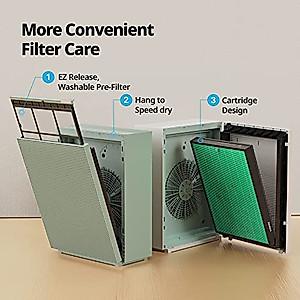 Coway Airmega 230 True HEPA Air Purifier with Air Quality Monitoring, Auto, and Filter Indicator, Sage Green