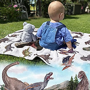 Dinosaur Blanket for Boys，Jurassic World Adults Dino Blanket，Soft Cozy Warm Throw Fleece Blanket for Couch Sofa Bed (Dinosaurs White, 60" L x 50" W)