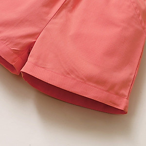 SUNNY PIGGY Toddler Baby Boy Clothes Button Down Shirt Boy Clothes Little Dinosaur Printed Baby Boy Outfits Shorts Set Summer Baby Boy’s Clothing 18-24 Months Red