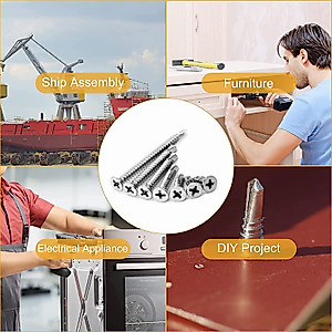 Guard4U 300Pcs 7-Size 410 Stainless Steel #8 SAE Flat Head Phillips Self Drilling Screws Sheet Metal Tek Screws Assortment Kit, Modified Truss Head Self Driller- #8 x 1/2" to #8 x 2"