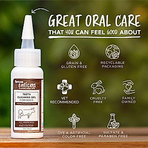 TropiClean Enticers Dog Teeth Cleaning Treat Gel | Beef Brisket Flavored Dog Toothpaste Alternative | 2 oz.