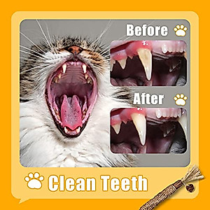 YWAOOH Catnip Toys with Silvervine for Cats, Cat Chew Toy for Kitten Teething, Interactive Cat Toy for Indoor Cats, Natural & Safe Cat Toys