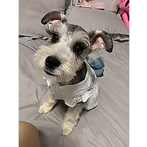 Jingmezhi Pet Cotton Embroidered Back Bowknot Hollow Out Dresses for Cat Dog Daily Clothing (S+(6.6lb~7.7lb))