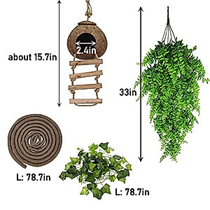kathson Lizard Coco Den with Ladder, Bearded Dragon Tank Accessories Gecko Coconut Husk Hut with Jungle Climber Vines with Suction Cups Habitat Décor
