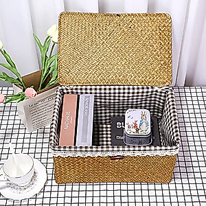 Hipiwe Wicker Storage Basket Bin with Removable Fabric liner and Lid, Woven Seagrass Shelf Baskets Box Rectangular Household Organizer Bin for Shelf Closet Home Decor, Large 14.4"x9.6"