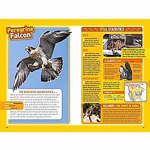 National Geographic Kids Bird Guide of North America, Second Edition