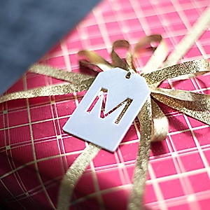 Silhouette America PLA Filament 500 Grams - Pink