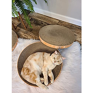 Cozy Cat Scratcher Bowl Replacement Pad (2 Pack), 100% Recycled Paper, Chemical-Free Materials (Regular, Oak)
