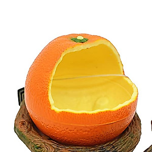 Bird Feeder Bowl Caged with Fruit Shape, Parrot Water Food Feeding Bowl for Small Animal Bird Parrot Drinking Cup Container Cage,Corn-Shape