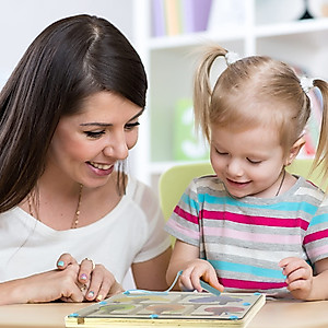 Pidoko Kids Color Sorting Fruits Magnetic Maze - Montessori Educational Toys for Toddlers - Learning Fine Motor Skills for Preschoolers