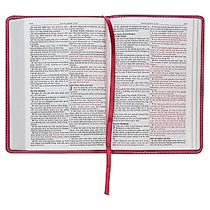 KJV Holy Bible, Compact Faux Leather Red Letter Edition - Ribbon Marker, King James Version, Pink
